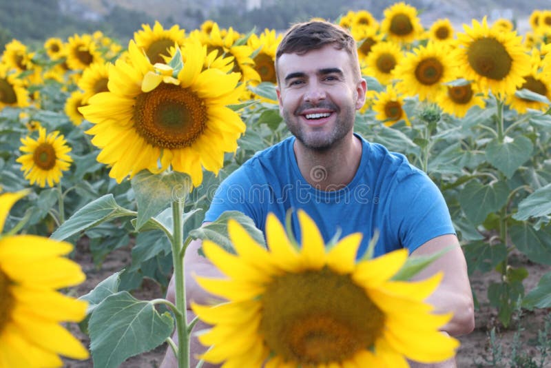 Young Handsome Man In The Sunflower Field Stock Photo - Image of field ...