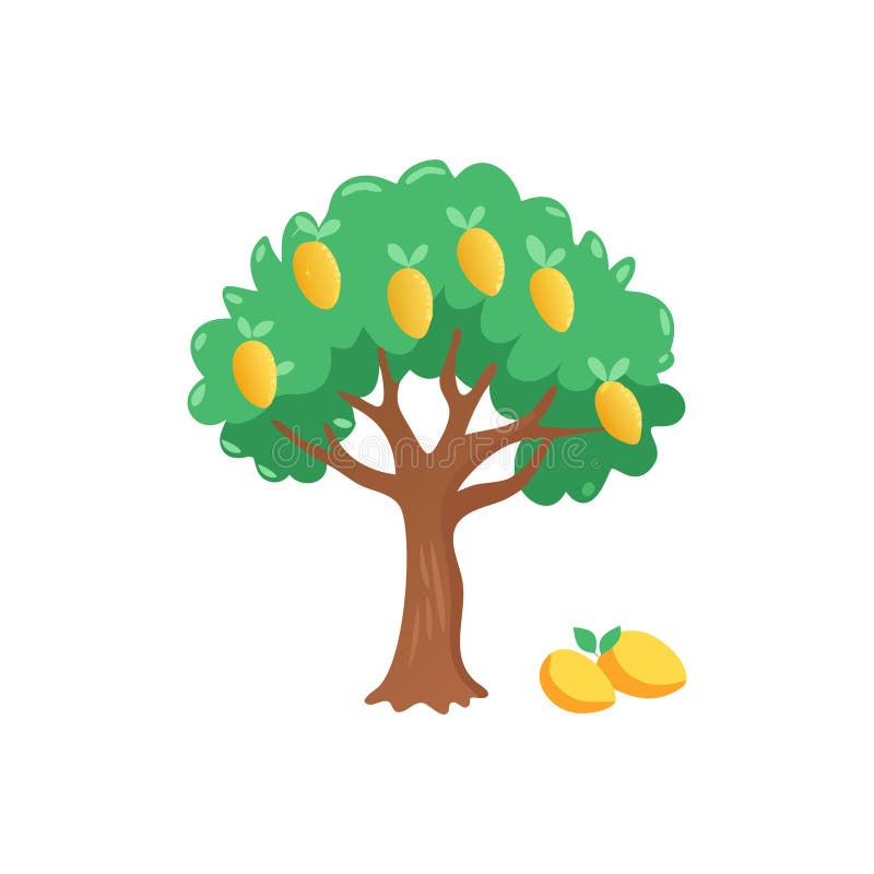 Mango Tree Clipart Stock Illustrations – 155 Mango Tree Clipart Stock ...