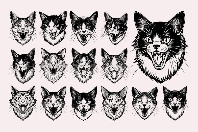 Cute Meowing Turkish Van Cat Stock Illustrations – 5 Cute Meowing Turkish Van Cat Stock ...