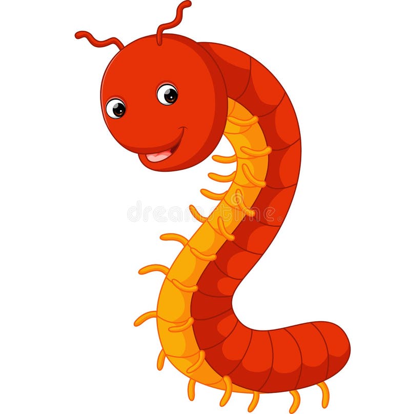Millipede Stock Illustrations – 1,661 Millipede Stock Illustrations ...
