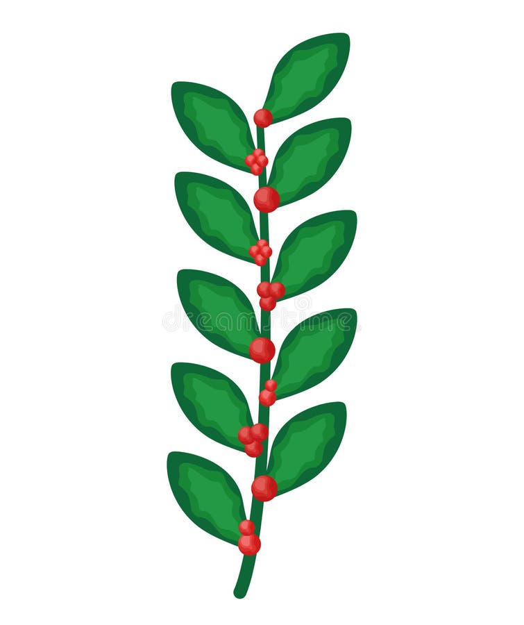 Cute mistletoe branch stock vector. Illustration of xmas - 259797163