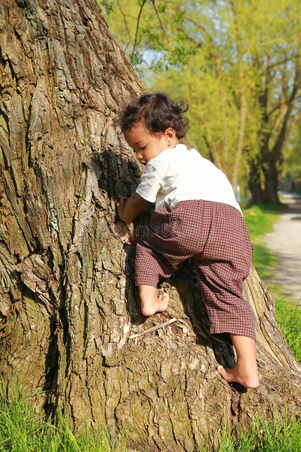 Cute Mixed Child Boy Climbing on Big Tree Stock Image - Image of bare ... Cute Mixed Child Boy Climbing on Big Tree Stock Image - Image of bare ...
