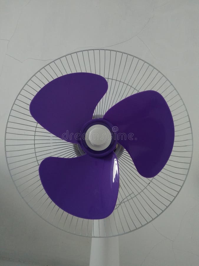 Purple Fan