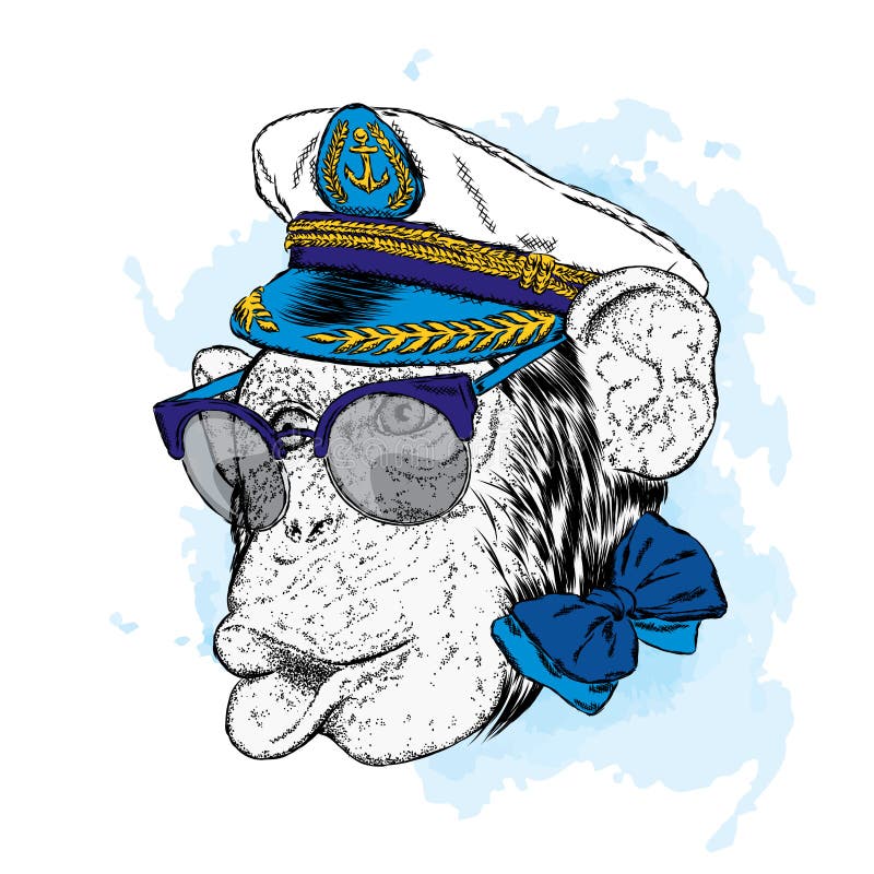 Monkey Cap Stock Illustrations – 1,437 Monkey Cap Stock Illustrations ...