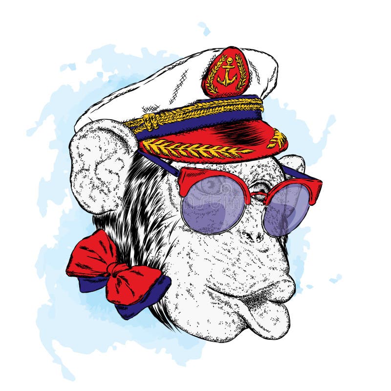 Cute Monkey in the Captain S Cap. Vector Illustration. Stock Vector ...