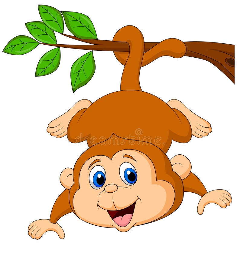 Cute Monkey Cartoon Hanging on a Tree Branch Stock Vector ...
