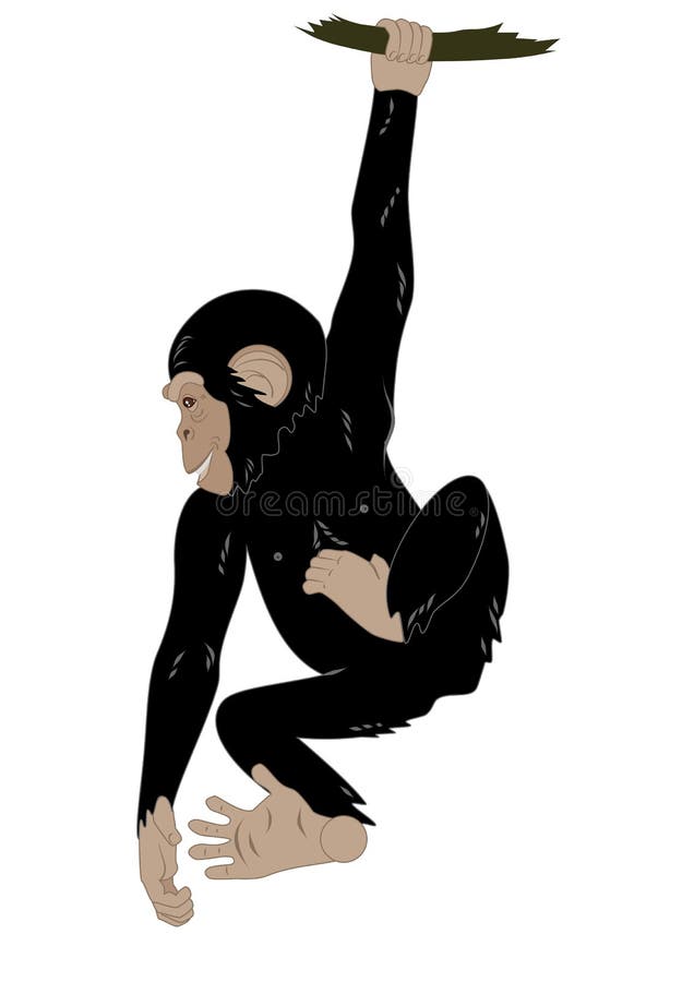 Cartoon Monkey Hanging From A Vine