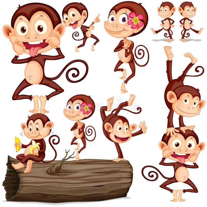 Monkeys In Different Poses, Vector Illustrations Stock Vector ...