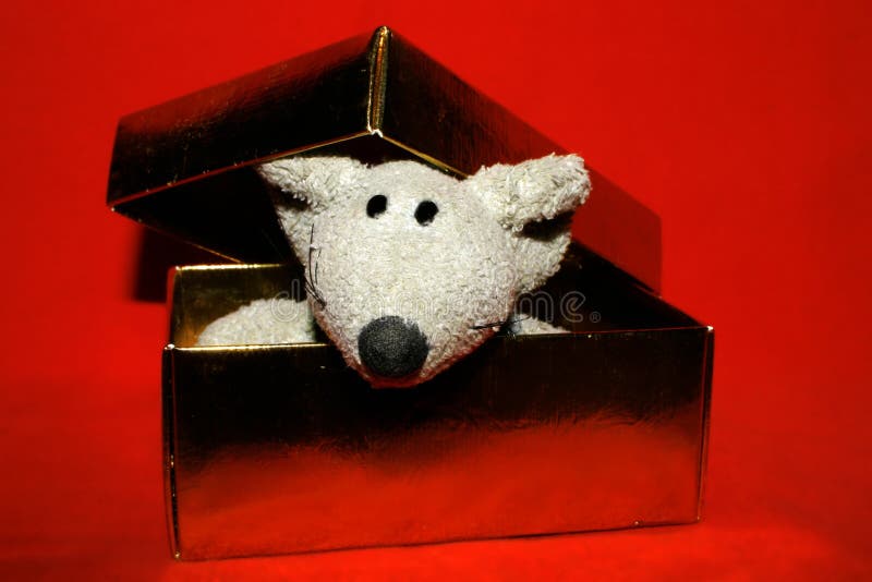 Cute mouse in the gold box stock photo. Image of grey - 4262034