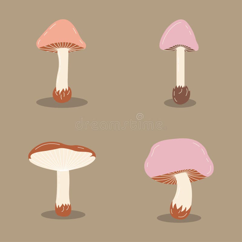 Cute Mushroom Fungus Toadstool Illustration Vector Cartoon Sticker ...