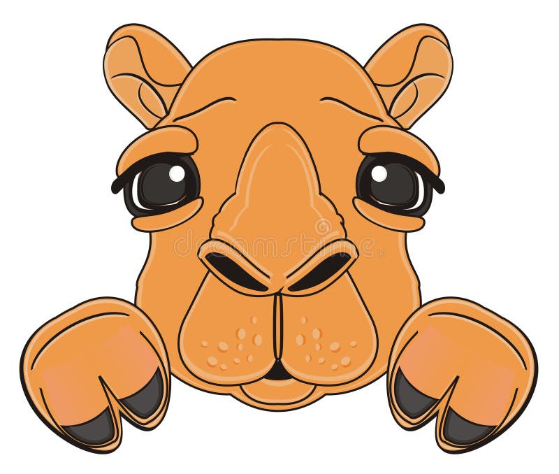 Camel Face Stock Illustrations – 821 Camel Face Stock Illustrations ...