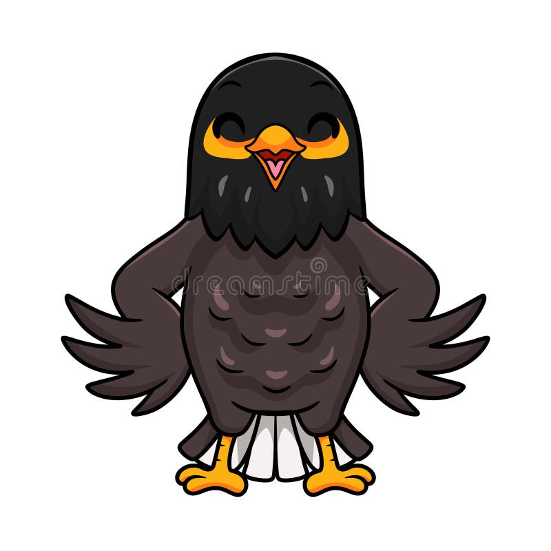 Myna Bird Stock Illustrations – 129 Myna Bird Stock Illustrations ...