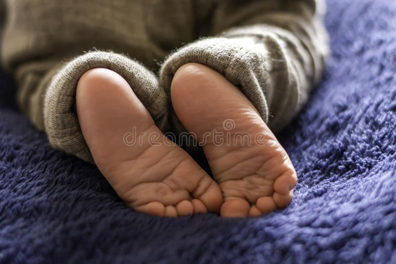 Newborn Baby Feet from Behind Stock Image - Image of blue, pair: 172080253