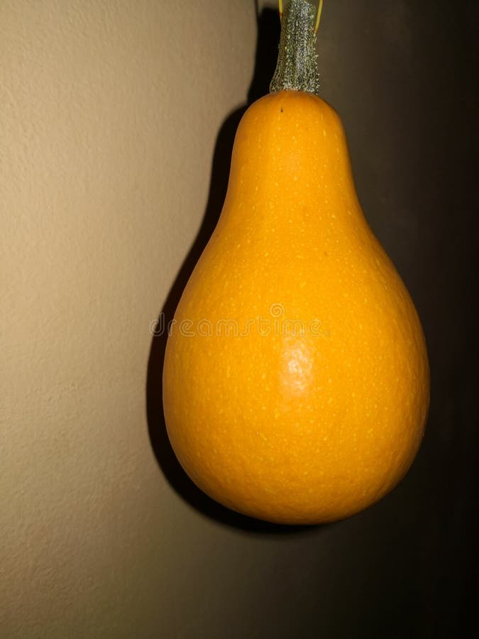 Leuk Ding In Opslag Gevangen Meisjesoog Aantrekkelijke En Modieuze ...