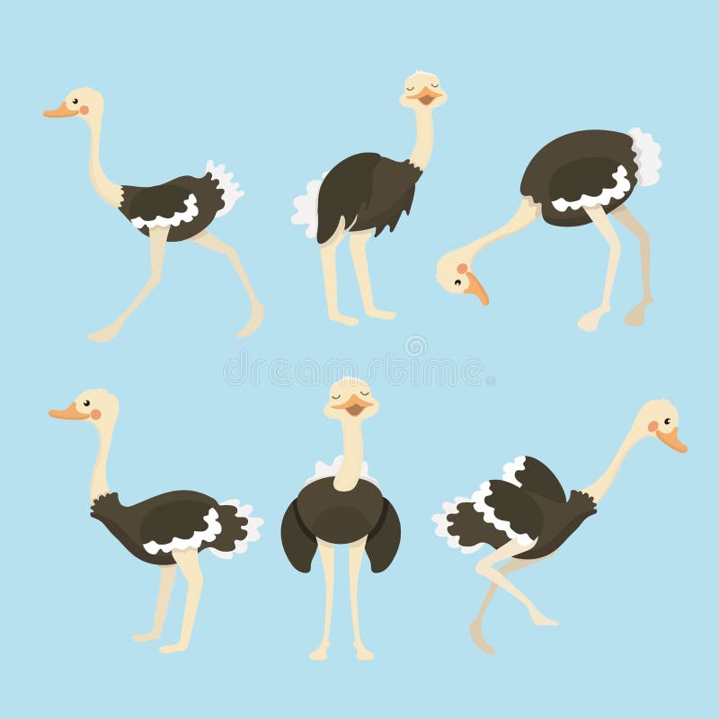 Ostrich collection 1 stock vector. Illustration of neck - 278091490