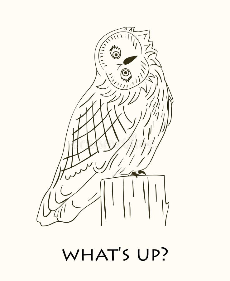Owl Question Stock Illustrations – 315 Owl Question Stock Illustrations ...