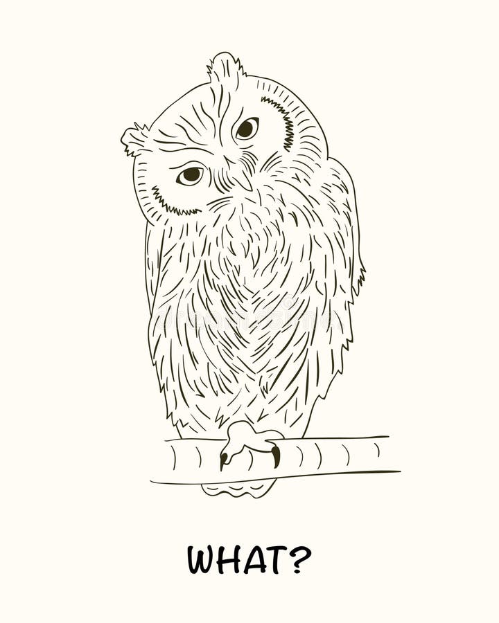 Owl Question Stock Illustrations – 270 Owl Question Stock Illustrations ...
