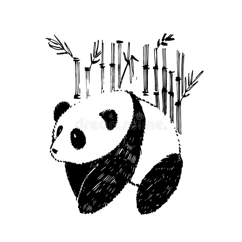 Cute Panda in Graphic Style with Bamboo. Ink Hand Drawn Illustration ...