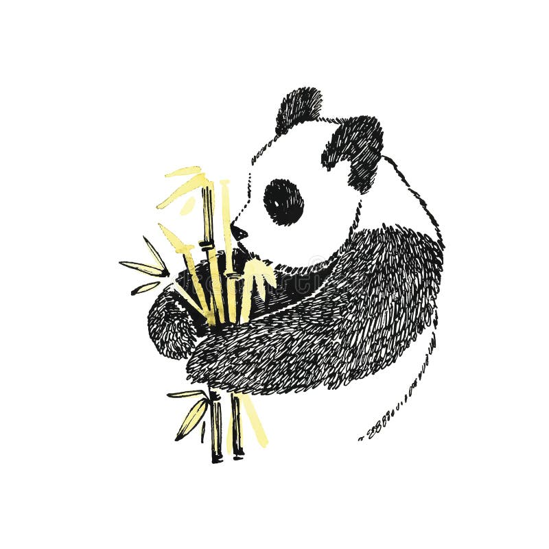 Cute Panda in Graphic Style with Bamboo. Vector Hand Drawn Illustration ...
