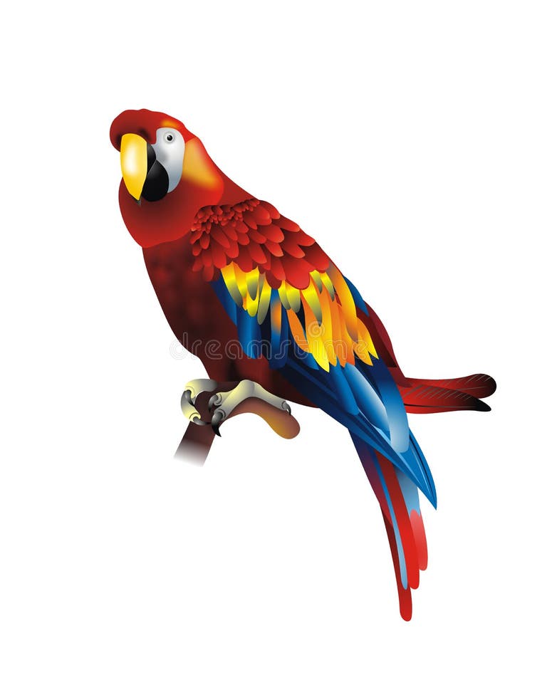 Cute Red Parrot Stock Illustrations – 11,885 Cute Red Parrot Stock ...