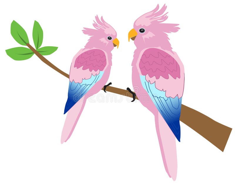 Cute Parrot Bird Illustrations Print Vector Art Stock Illustration ...