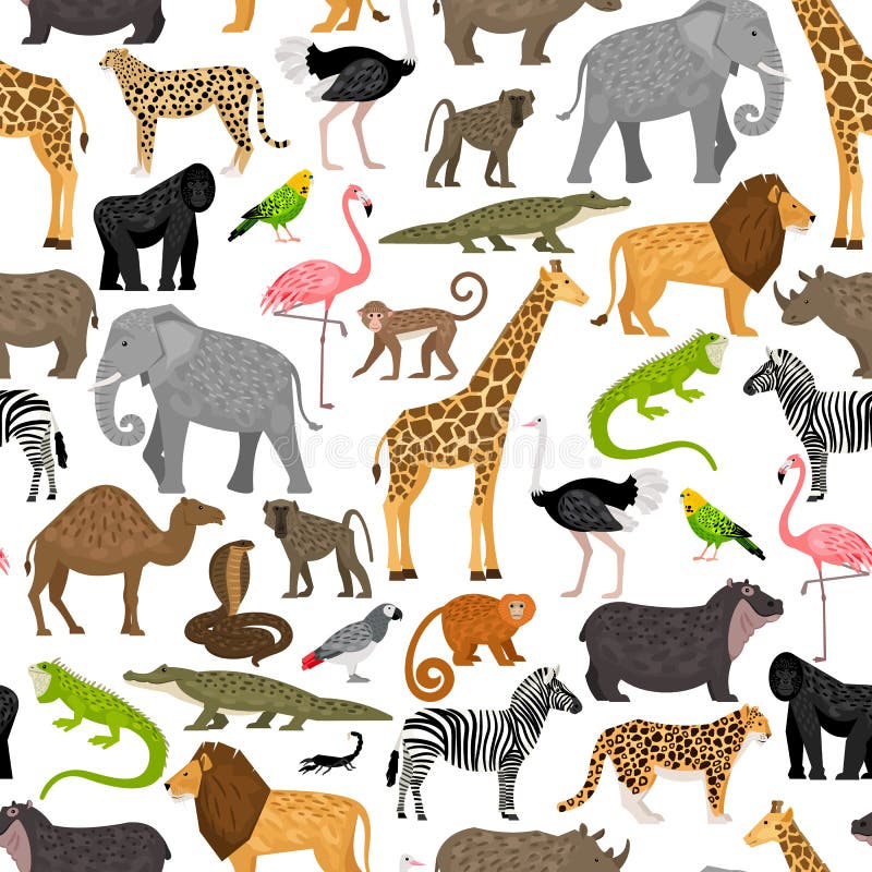 Cute Pattern with African Animals and Birds Stock Vector - Illustration ...