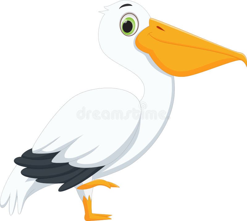 Happy Pelican Stock Illustrations – 723 Happy Pelican Stock ...