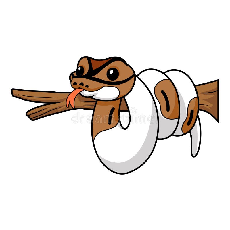 Cute Pied Ball Python Cartoon on Tree Branch Stock Vector ...