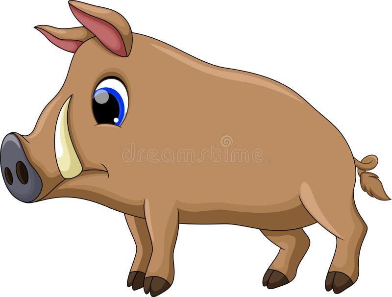 Pig Tusks Stock Illustrations – 184 Pig Tusks Stock Illustrations ...