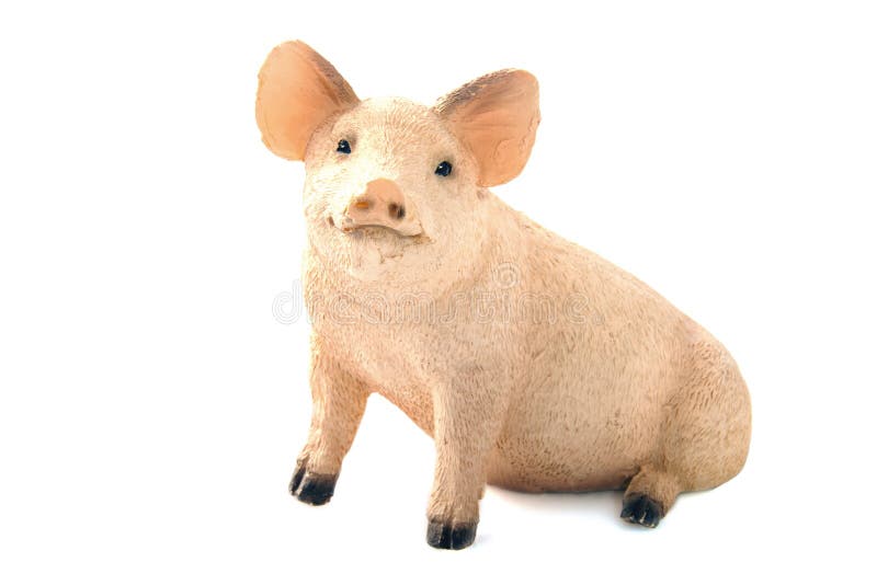 Cute pig stock image. Image of pork, shot, objects, animals - 36589317