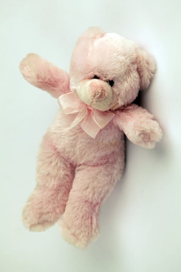 Cute pink bear stock photo. Image of isolated, greeting - 52852940