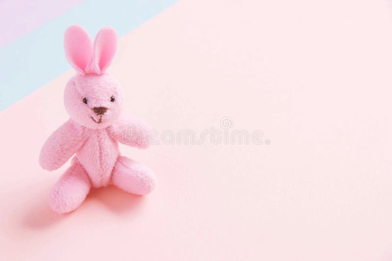 Cute pink rabbit stock photo. Image of cooperation, care - 269906072