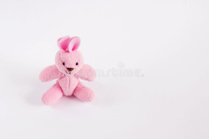 Cute pink rabbit stock photo. Image of cooperation, care - 269906072