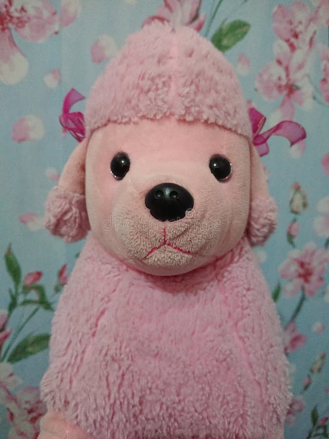 The Cute Pink Sheep Doll is so Adorable Stock Image - Image of pink ...