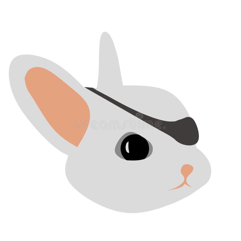 Cute Pirate Rabbit Face with Beautiful White Skin and Dark Eyes Stock ...