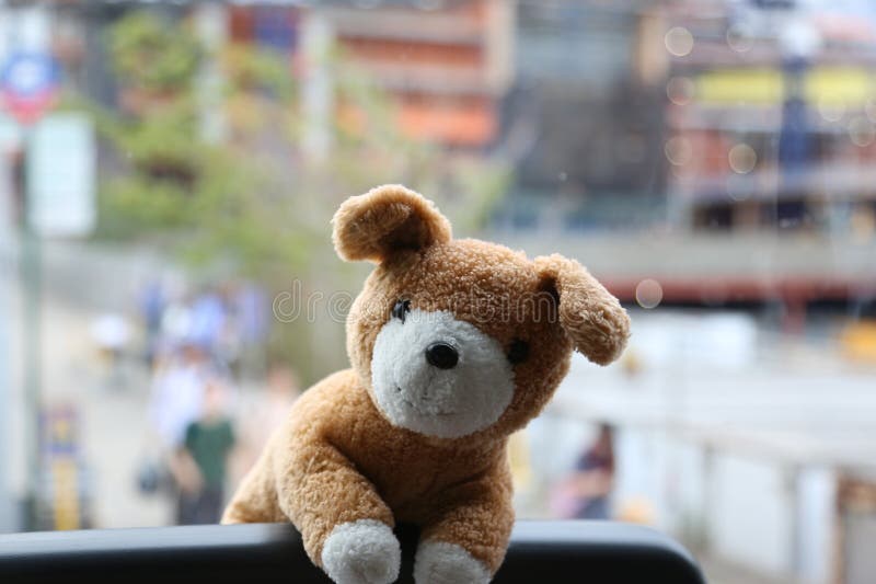 Cute Plush Toy Perched on a Window Sill. Stock Photo - Image of fabric ...