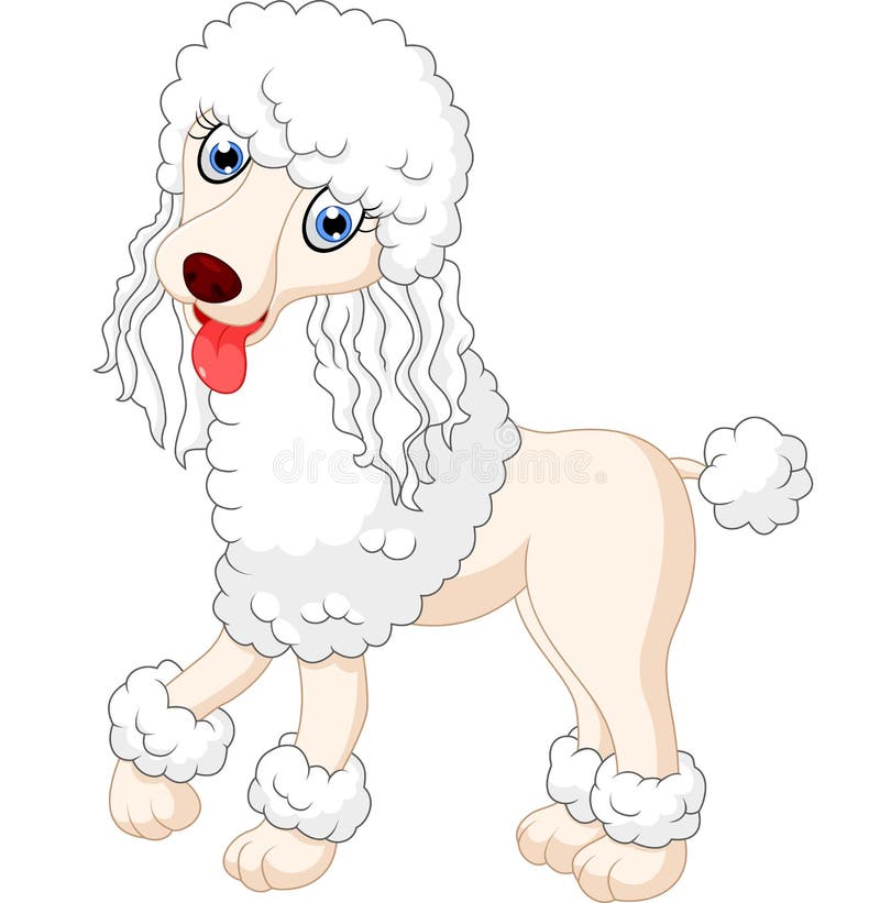 Cute Poodle Dog Animal Character Illustration Cartoon Stock ...