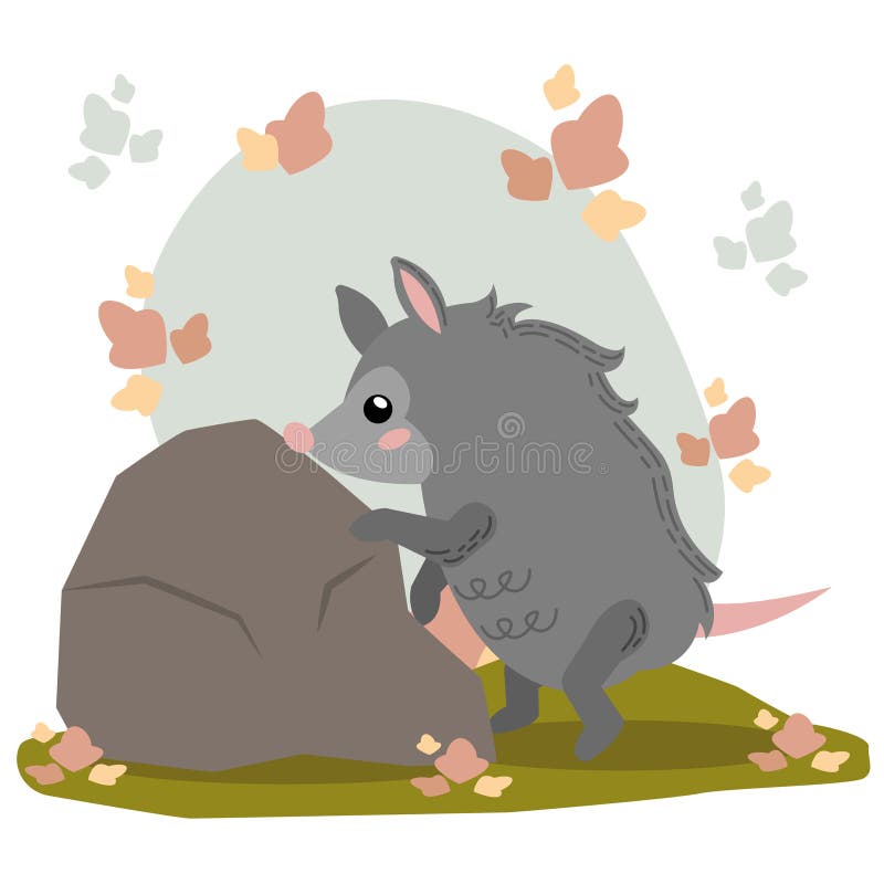 Cute Possum Near Rock. Vector Stock Vector - Illustration of sweet ...