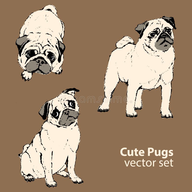 Set of Pugs. Collection of Pedigree Dogs. Black and White Illustration ...