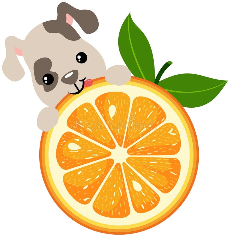 Cute Puppy Eating Orange Slice Stock Vector - Illustration of ...
