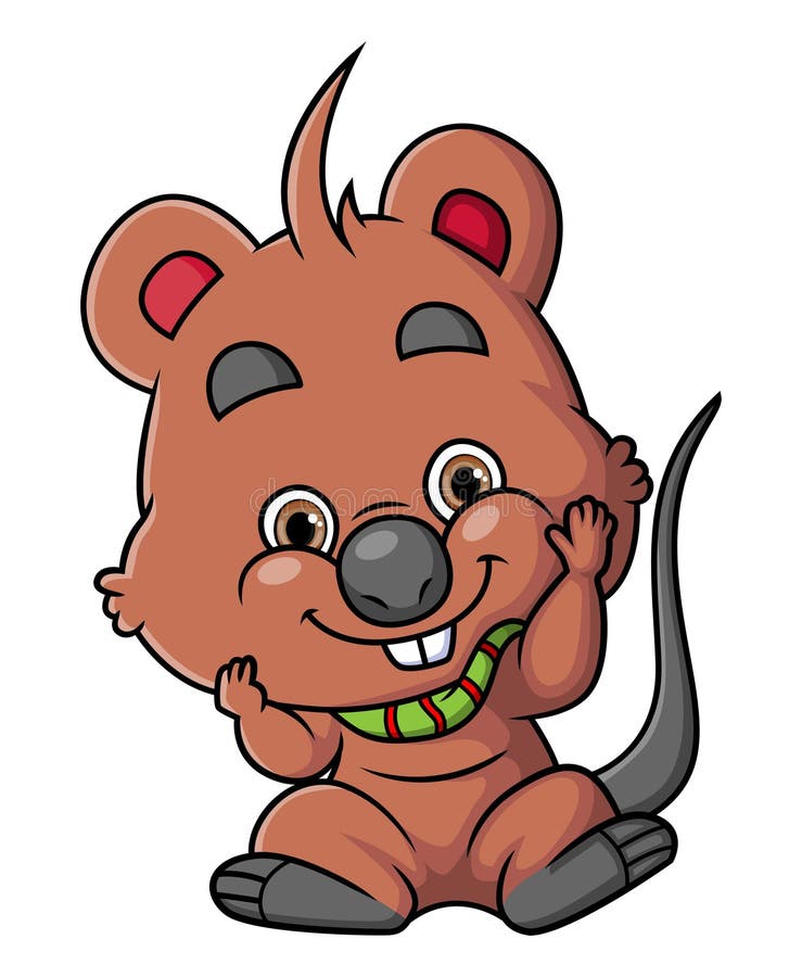 The Cute Quokka with the Chubby Cheeks is Smiling with the Happy ...