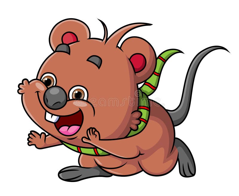 The Cute Quokka is Walking and Catching Something Stock Vector ...