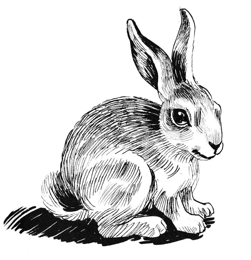 Cute rabbit stock illustration. Illustration of cute - 151886122