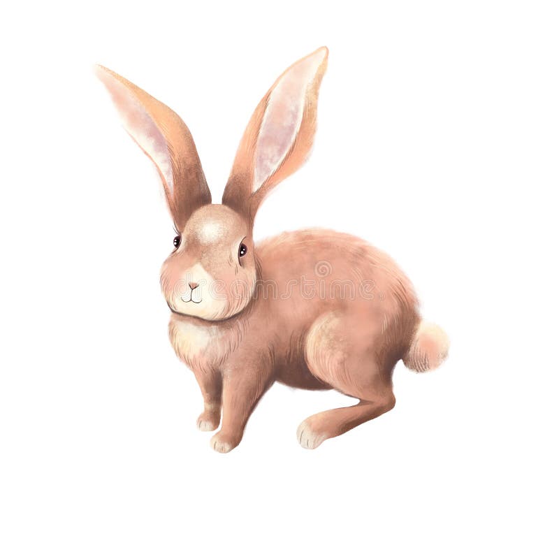 Cute Rabbit Character Digital Illustration Stock Image - Image of baby ...
