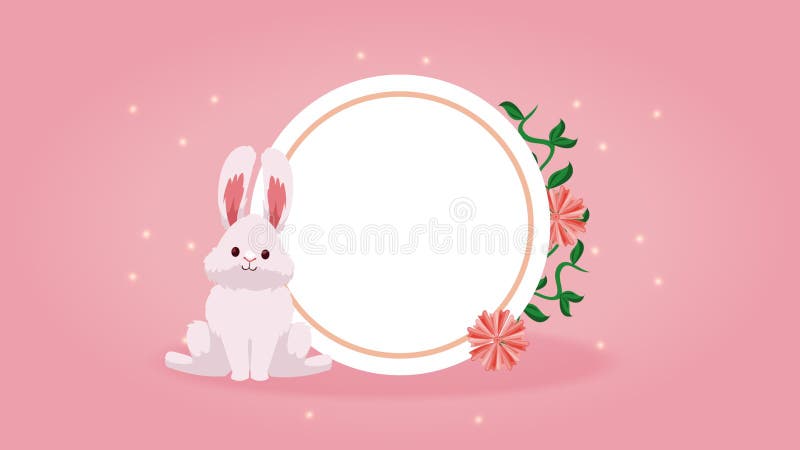 Cute Rabbit with Circular Frame Stock Video - Video of seat, footage ...