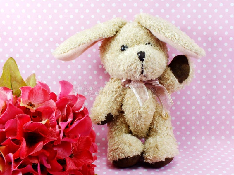Cute Rabbit Doll with Space for Copy Background Stock Photo - Image of ...