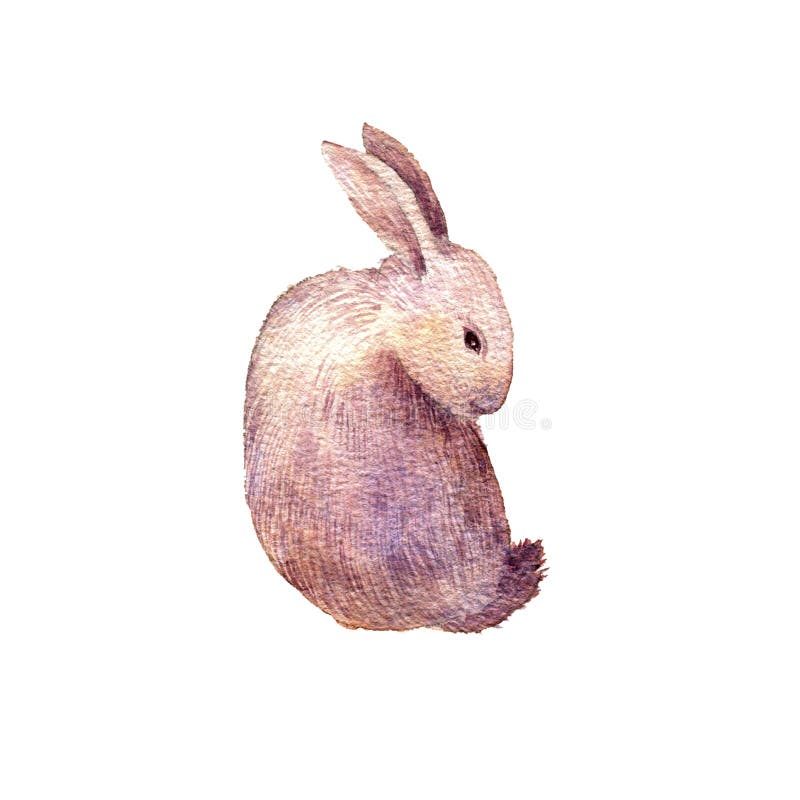 Cute Rabbit Drawing in Watercolor Stock Illustration - Illustration of ...