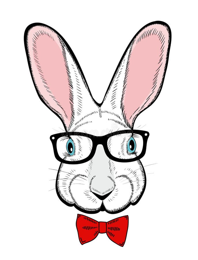 Cute rabbit face. stock vector. Illustration of rabbit - 113576548