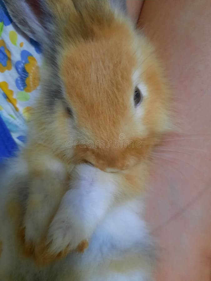 Carla Cute Dp Stock Photos - Free & Royalty-Free Stock Photos from ...