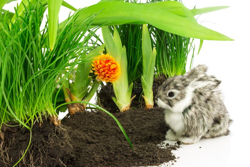 Cute Rabbit with Orange Flower and Green Plants Stock Image - Image of ...